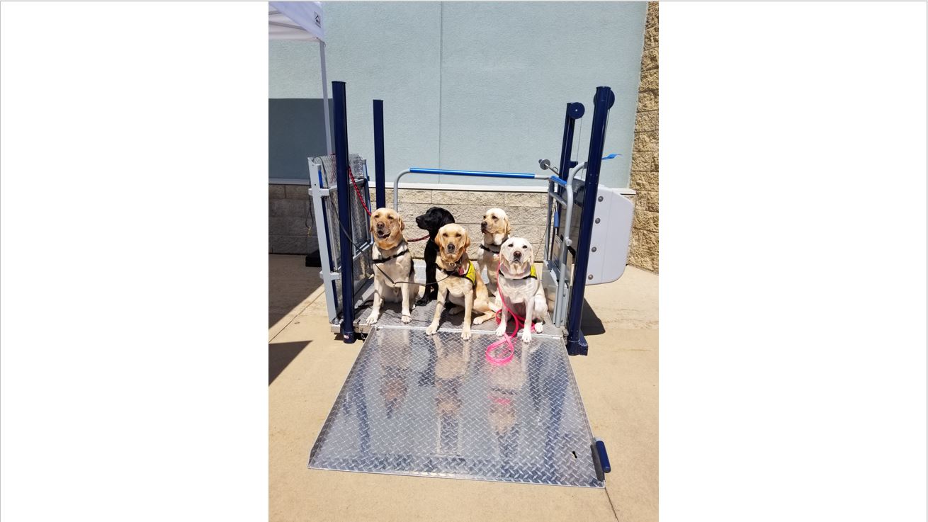 PADS and Mobilift v3 – Lift2Go